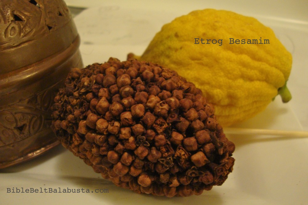Etrog Besamim for Havdalah | Bible Belt Balabusta