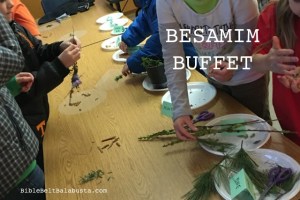 Havdalah Besamim Activities | Bible Belt Balabusta